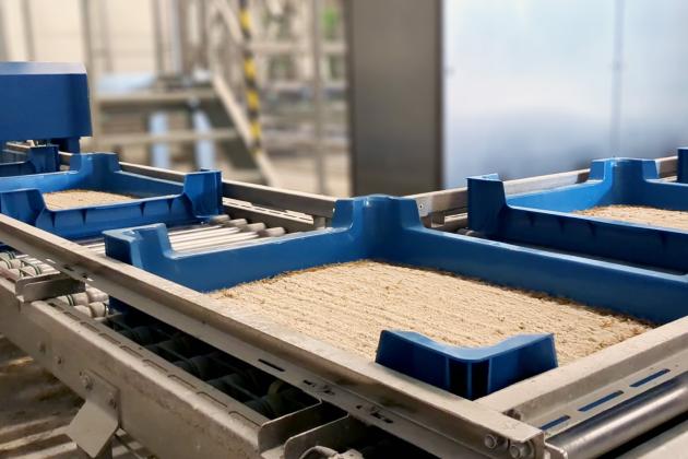 VDL Insect Systems - Black Soldier Fly, Mealworms & Custom Engineering ...